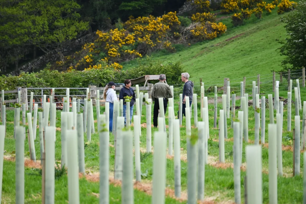 Myco Trees - Mycorrhizal Systems Ltd