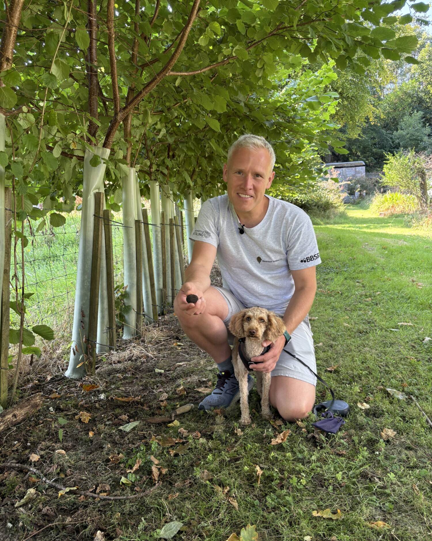 Mycorrhizal Systems | Worldwide Truffle Tree Plantation